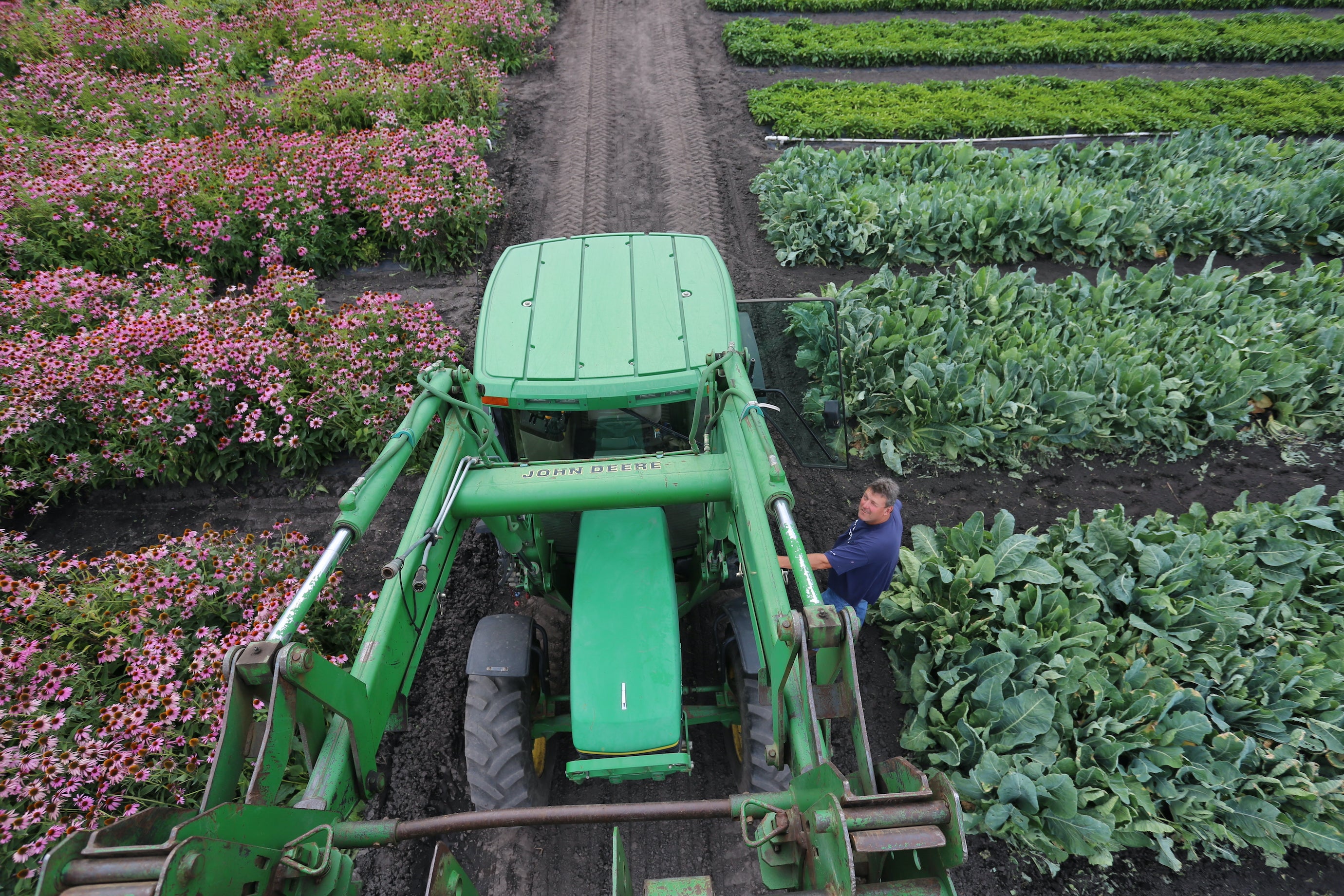 Sustainable Business At Natural Factors®